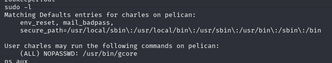 Pelican - Krovs' Writeups